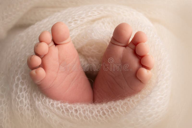 Soft Feet Of A Newborn Close Up Of Toes Heels And Feet Of A Newborn