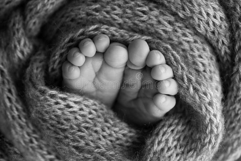 Soft Feet Of A Newborn In A Blanket Close Up Of Toes Heels And Feet