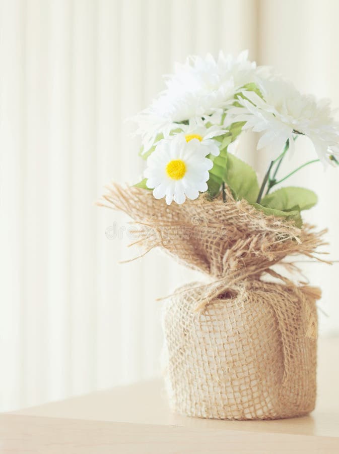 Soft flower stock photo. Image of floral, flower, decoration - 34569318