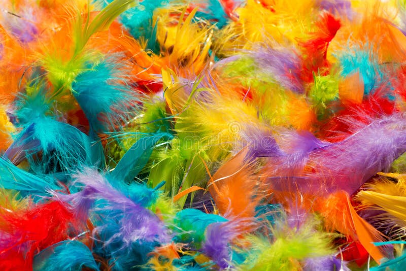 Soft Fluffy Brightly Colored Bird Feathers Texture Stock Photo - Image ...