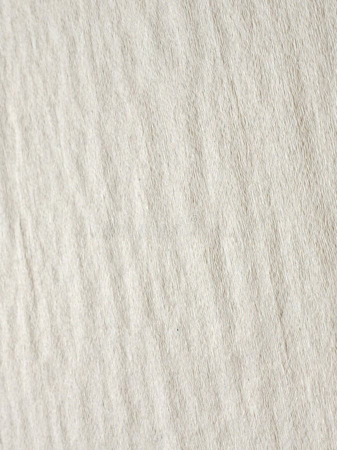 Flushable Wipes Stock Photos - Free & Royalty-Free Stock Photos from ...