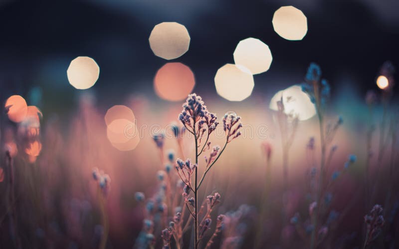 Generative-AI, Soft-Focus Blurred Bokeh Lights Background: Calm and ...
