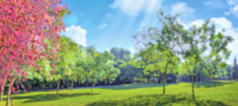 Soft Focus Blurred Grass on Meadow Background and Trees in Flowers at ...