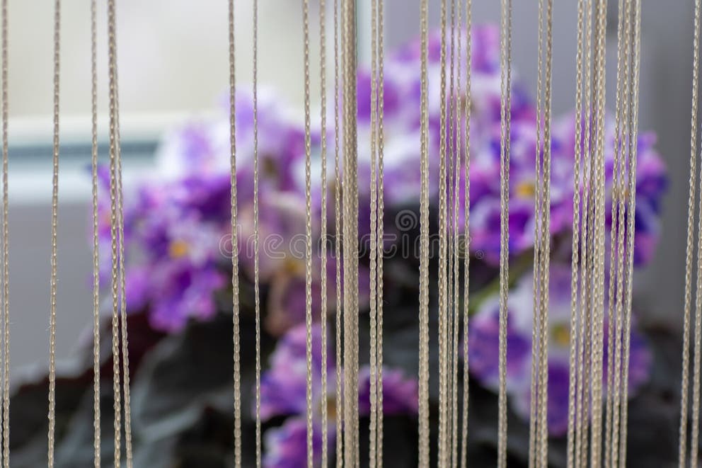 Soft Focus of the Flower Behind the Curtain Threads, Focus on the ...