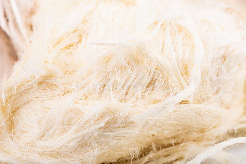 Full Frame of Euonymus Leaves. Garden, Rural, Cottage. Stock Photo ...