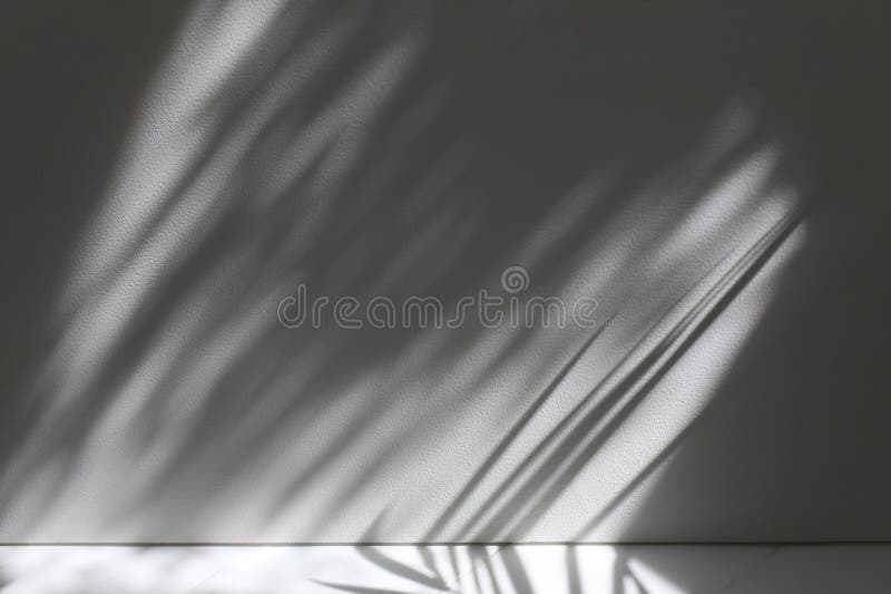Soft Focus Gray Grain Texture Black and White Refraction Wall . Light ...