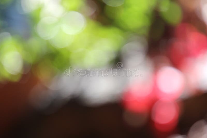 Soft Focus Green and Pink Background Stock Image - Image of grass ...