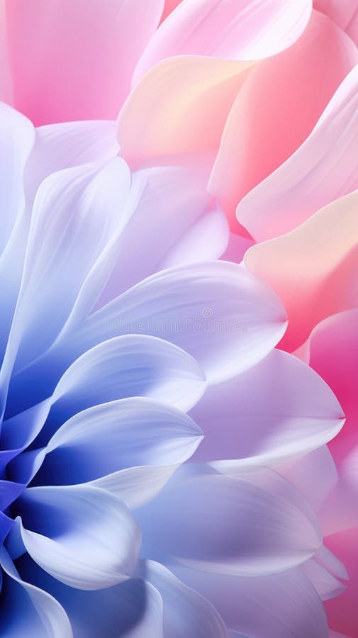 Soft Focus of Pastel Colored Petals with a Smooth Gradient. Stock Photo ...