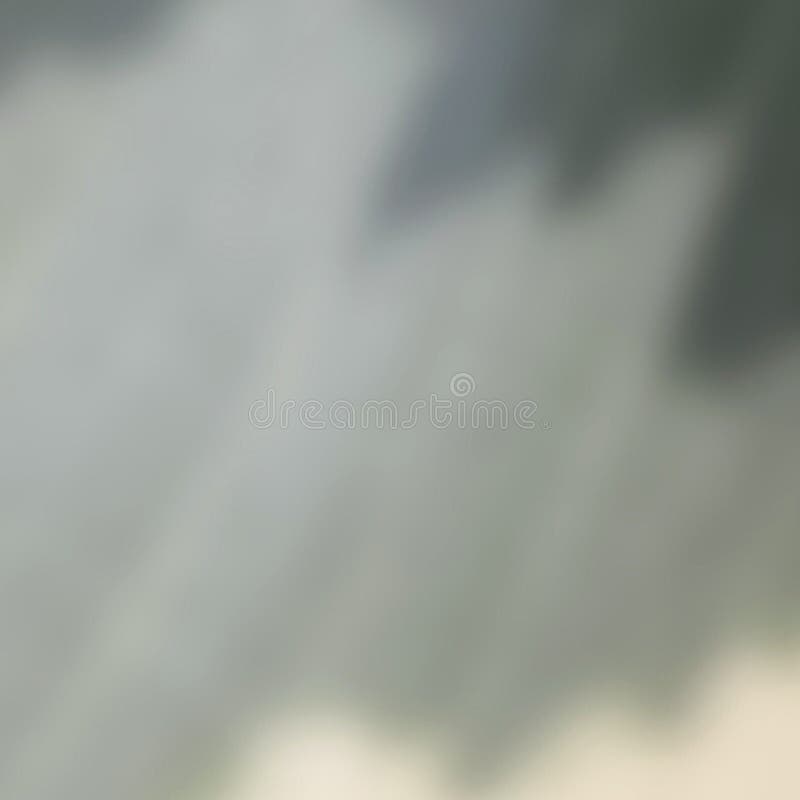 Abstract Background of White, Gray, Green from Leaf Pattern and ...