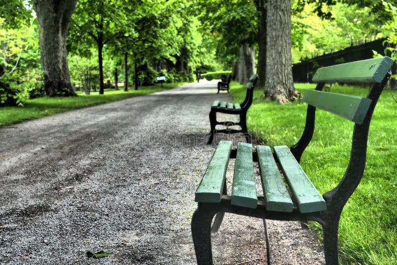 Soft Focus of Wooden Benches Along a Path at a Park Stock Photo - Image ...