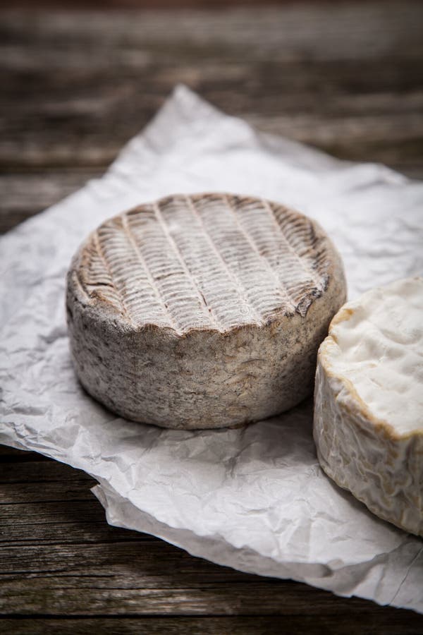 Soft french cheese stock photo. Image of italian, creamy - 64869492