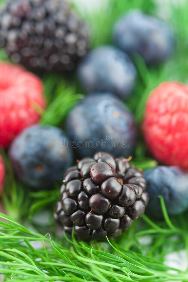 Soft fruit stock photo. Image of blackberries, bilberry - 19042320