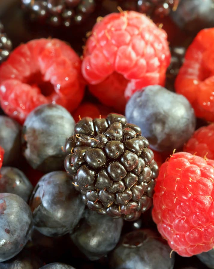Soft fruit stock image. Image of blackberries, closeup - 20002015