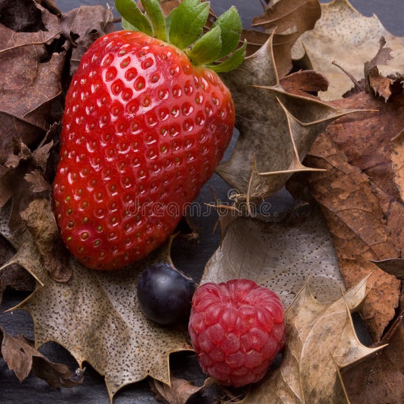 Soft Fruits stock image. Image of cuisine, earthy, composition - 13452861