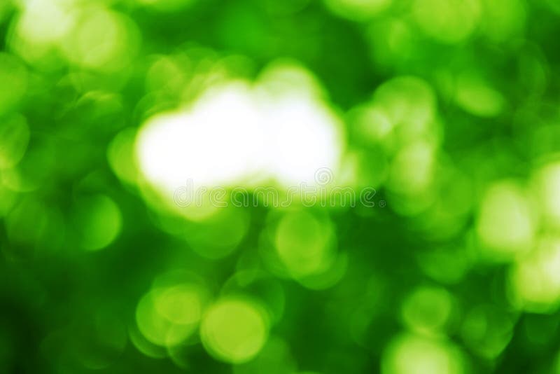 Soft Green Natural Bokeh Background Stock Photo - Image of dots, green ...