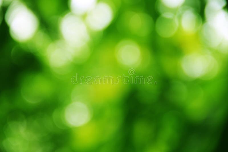 Soft Green Natural Bokeh Background Stock Photo - Image of dreamy ...