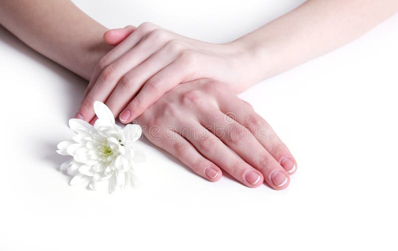 Soft hands stock photo. Image of clean, female, healthy - 49779294