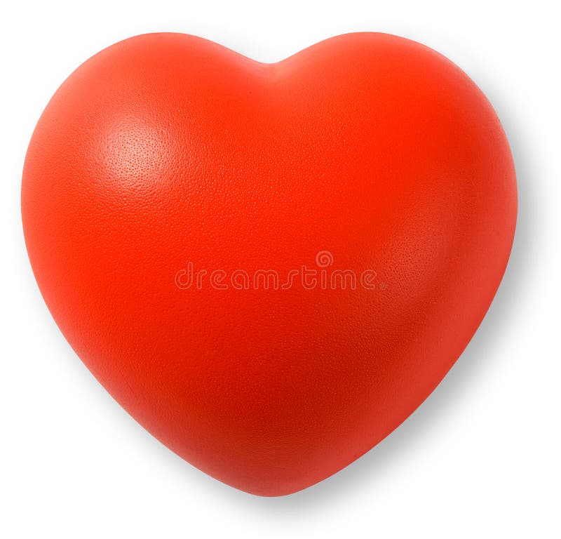 Soft heart stock image. Image of human, splanchnology - 3877717