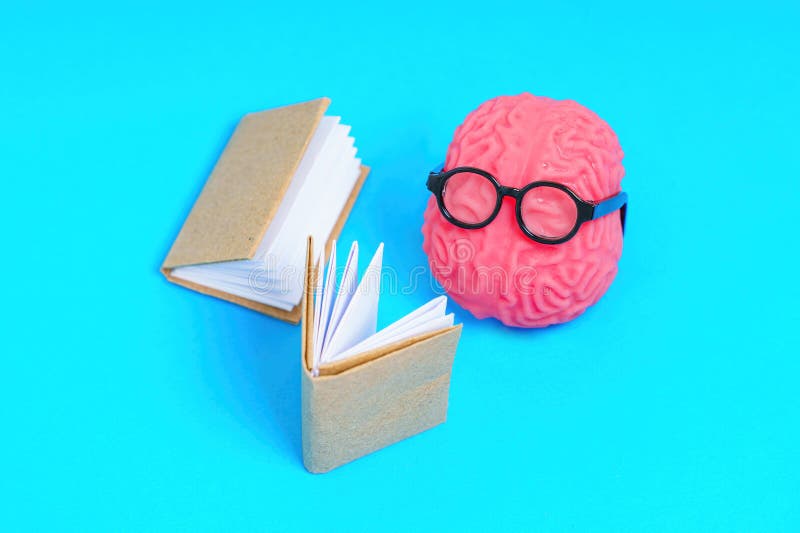 Soft Human Brain Character Studying Ledgers Stock Photo - Image of ...