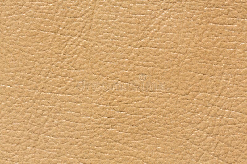 Soft Leather Texture in Light Colour. Stock Image - Image of designer ...