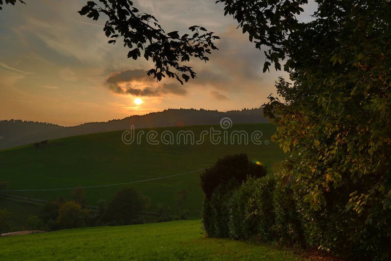 Green and Grey Sunset with Plants Stock Photo - Image of plants, sunset ...