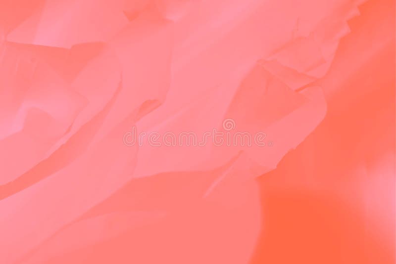 Soft Light Pink Coral Flowing Fabric, Gradient Coral Color Background ...