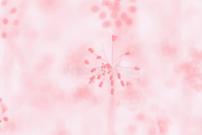 Soft Light Pink Pastel Background with Floral Pattern Stock Image ...