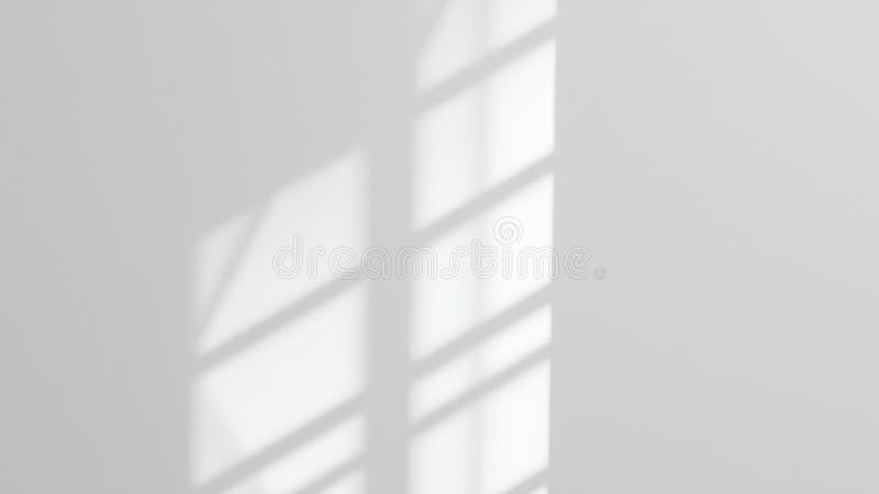 Soft Light Shadows from a Window Cast Onto a White Wall Stock ...
