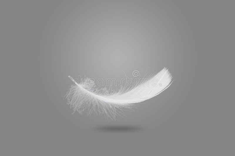 White Feather Falling