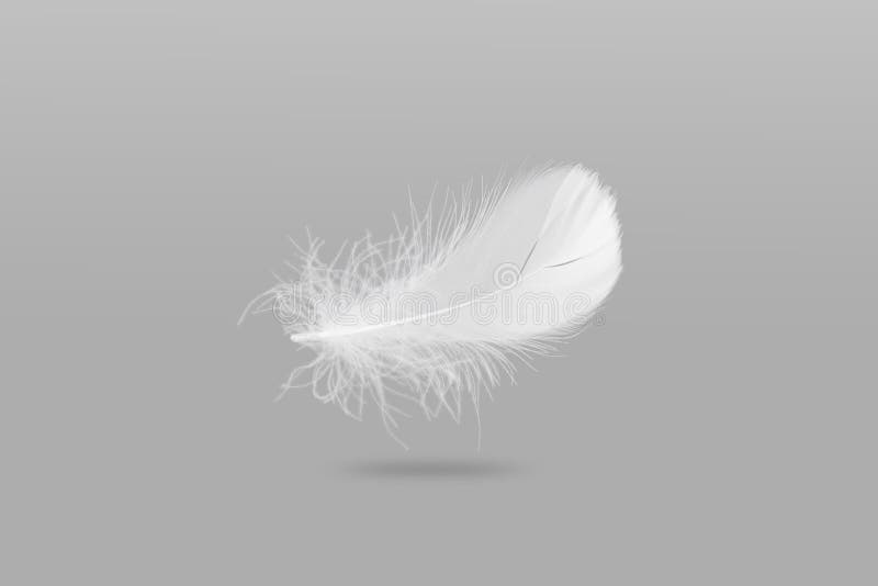 Soft and Light Single White Feather Falling Down in the Air. Stock ...