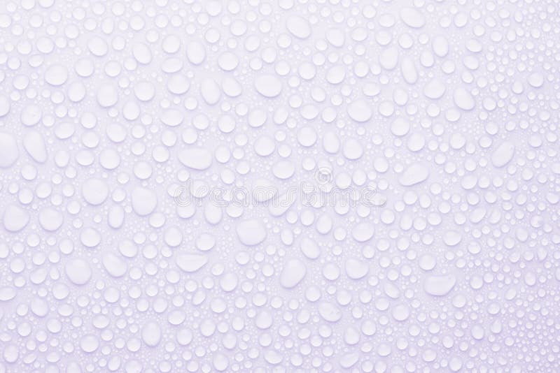 Soft Light Water Droplets on Gentle Light Lilac or Pink Background As ...