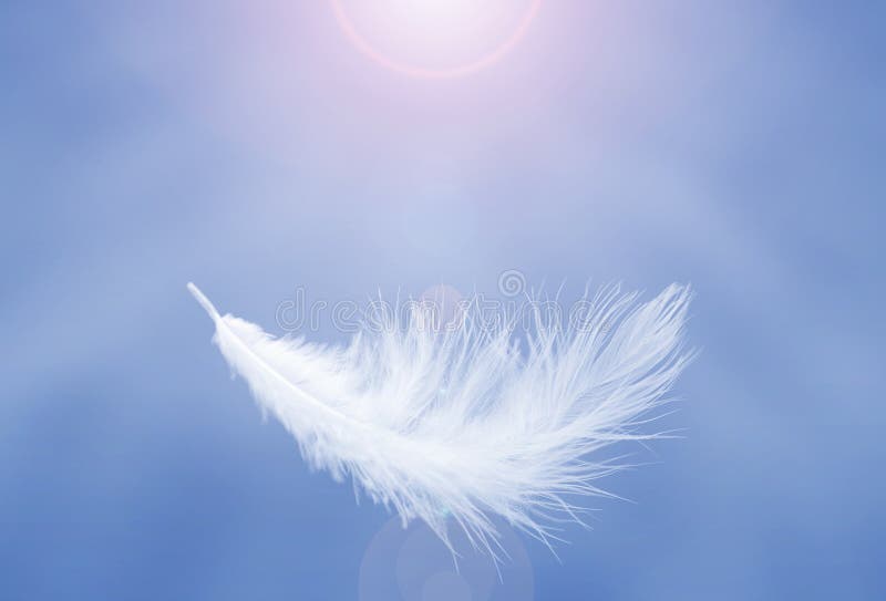 White Feather Falling