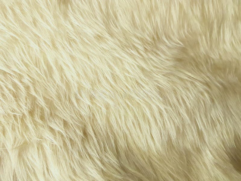 Plush Fabric in White, Textured Background Stock Photo - Image of plush ...