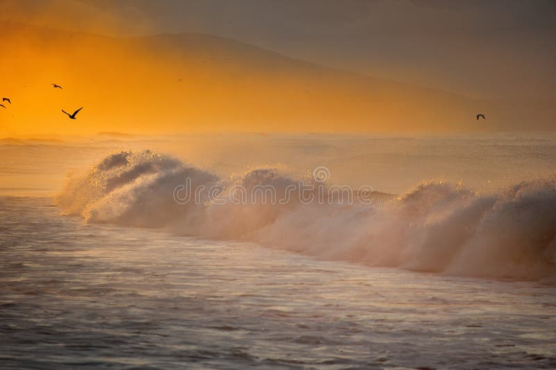 Soft morning light stock image. Image of light, glow - 61615711