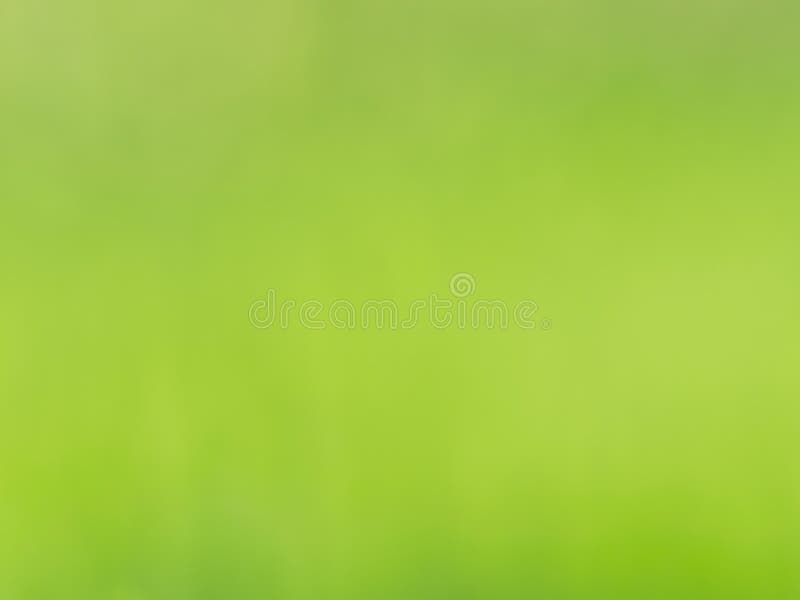 Soft Natural Gradient Background in Green and Yellow Stock Illustration ...