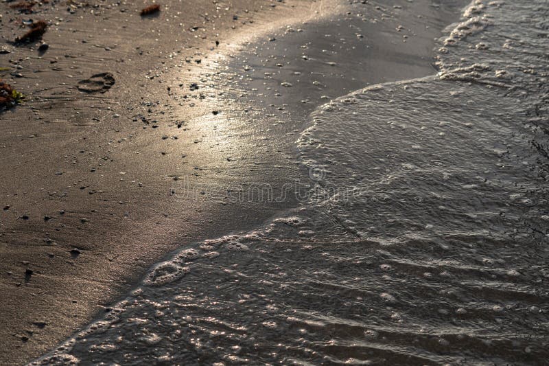 Soft Ocean Wave on Sandy Beach on Sunset Time, Selective Focus Stock ...