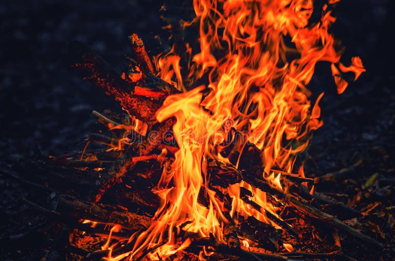 Soft Orange Flame of Campfire in Deep Night Forest Stock Photo - Image ...