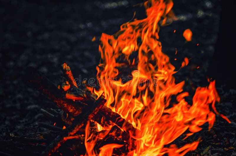 Soft Orange Flame of Campfire in Deep Night Forest Stock Photo - Image ...