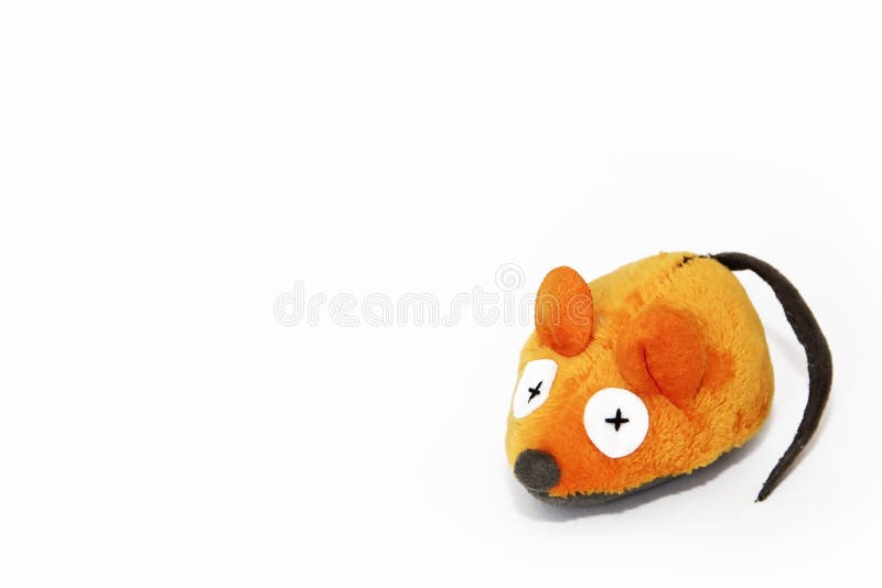 Orange mouse stock photo. Image of fruit, buttons, cord - 2786308