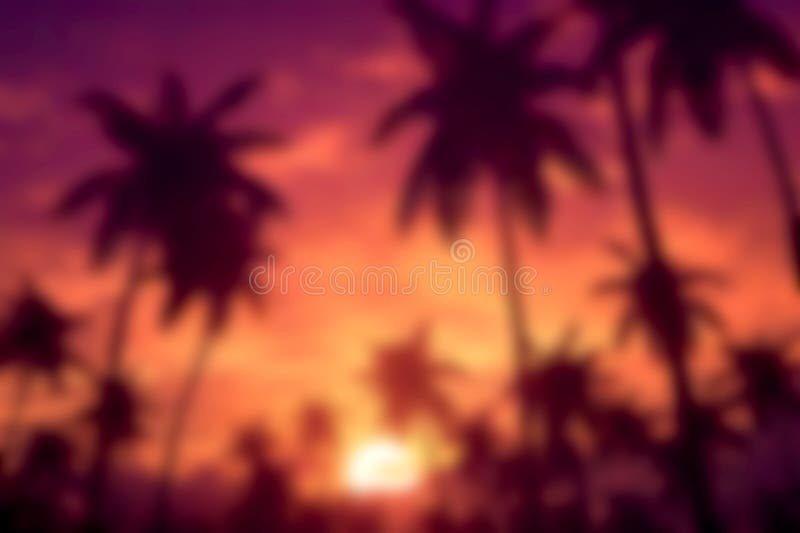 Soft Palm Trees Silhouette at Sunset Background Stock Illustration ...