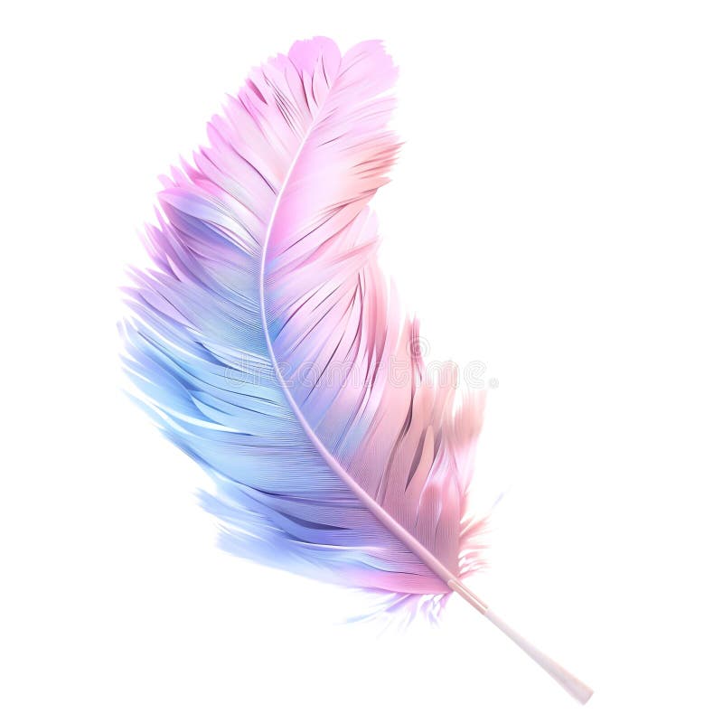 Soft Pastel Feather on White Background Stock Illustration ...
