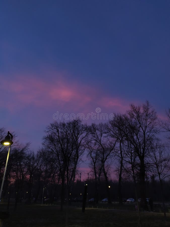 Soft pink cloud with trees stock image. Image of blue - 180206483