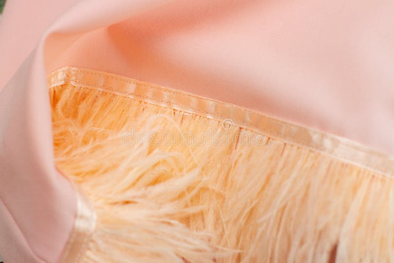 Soft Pink Feathers on Silk Fabric Stock Image - Image of cloth, light ...