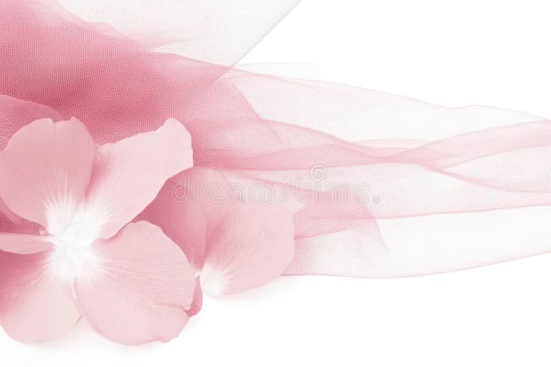 Soft Pink Floral Petals with Sheer Fabric Creating an Elegant and ...