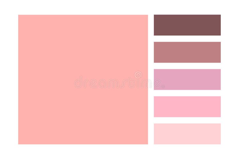 Soft Pink Layout. Pastel Color Scheme. Gentle Tone Blocks. Vector ...