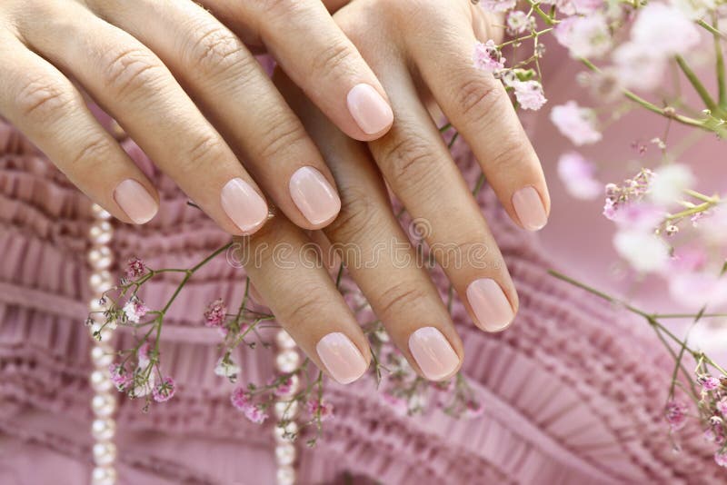 Soft pink manicure. stock photo. Image of manicure, nail - 258654164