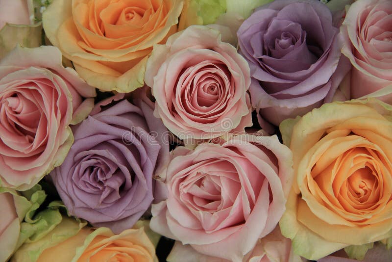 Soft Pink Wedding Arrangement Stock Photo - Image of group, arrangement ...