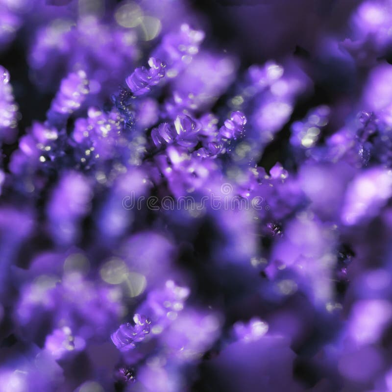 Soft Purple Spring Background Tileable Texture Pattern Stock Photo ...
