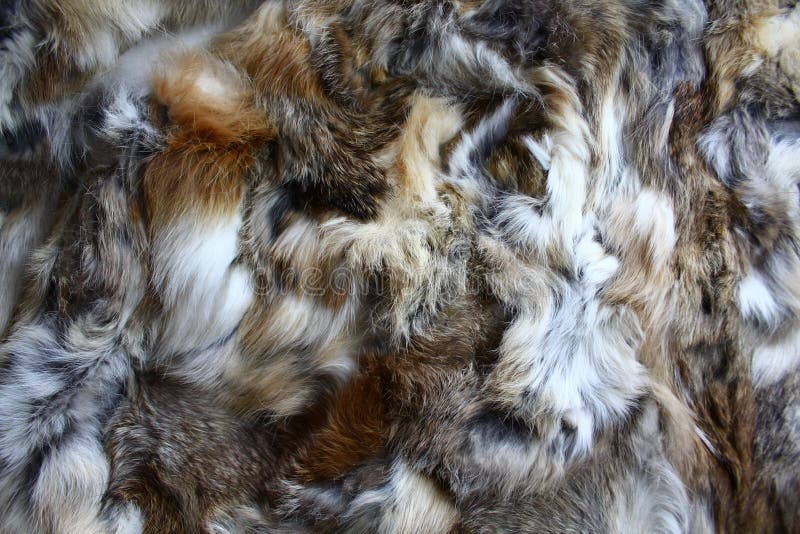 Rabbit Fur Texture Stock Images - Download 450 Royalty Free Photos