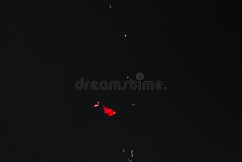 Red Rose Petals Falling in Front of Black Background Stock Photo ...